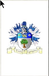 Interested in the Dowling Surname